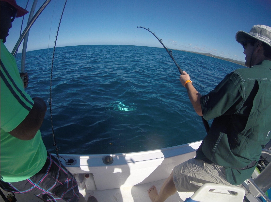 Capullo Sportfishing Tamarindo | Native's Way Costa Rica - Tours ...